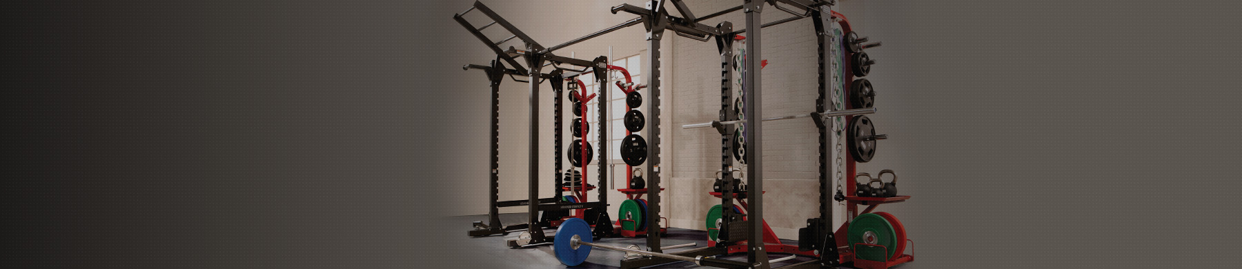 HD Elite - Life Fitness