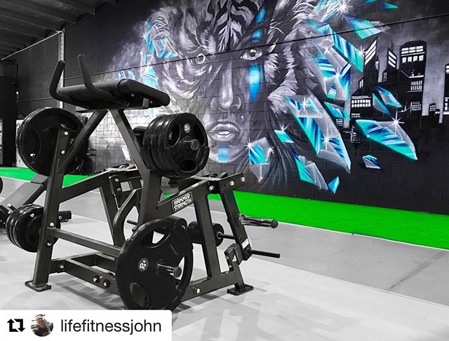 Fitness Equipment, Exercise Equipment - Life Fitness