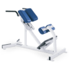 Hammer Strength Back Extension (BW-BE) - Life Fitness