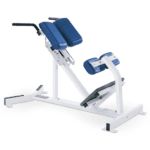 Hammer Strength Back Extension (BW-BE) - Life Fitness