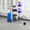 Signature Series Accessory Storage Rack (SAR) - Life Fitness