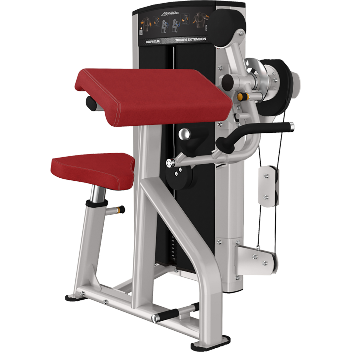 Axiom Series Dual Bicep/Tricep (PH-OPBT) | Life Fitness Axiom Series Dual Bicep/Tricep (PH-OPBT) | Life Fitness