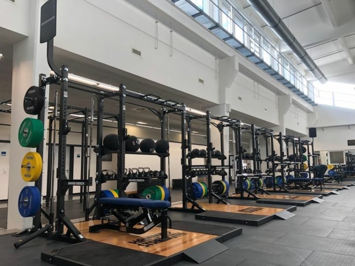 Hammer Strength HD Athletic Australia | Life Fitness