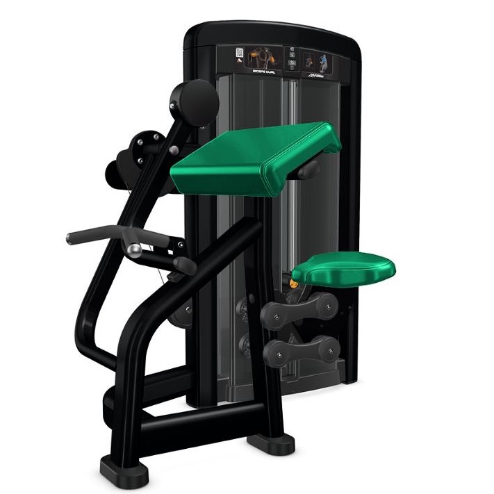 Insignia Series Biceps Curl - Dependent (SS-BCD) - Life Fitness
