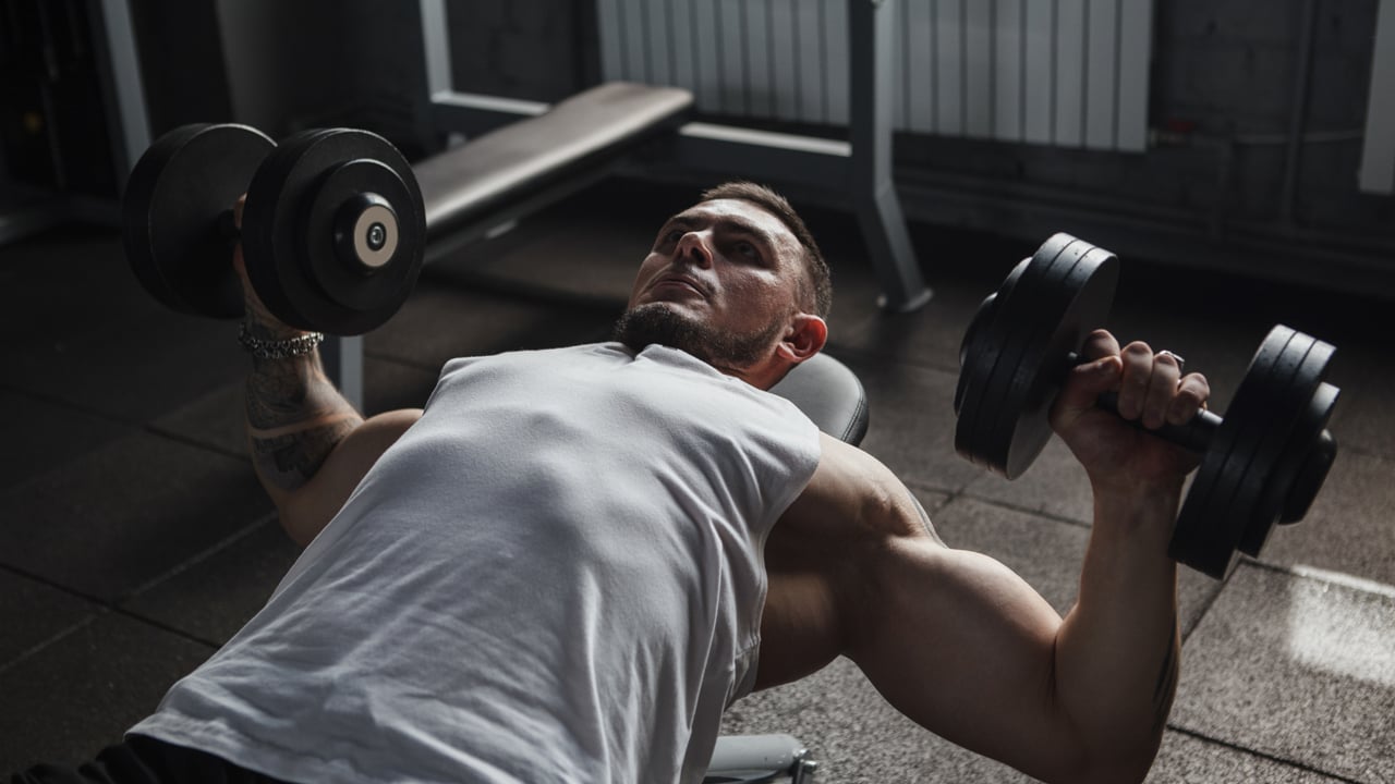Maximise Your Workouts: Top Adjustable Bench Exercises For Every Muscle ...