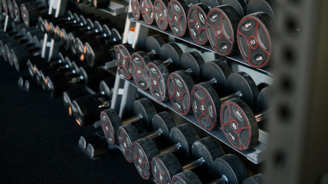 What Is Free Weight Training? - Life Fitness